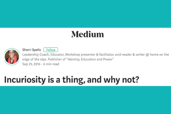 Intercultural Learning – Teaching in Higher Ed